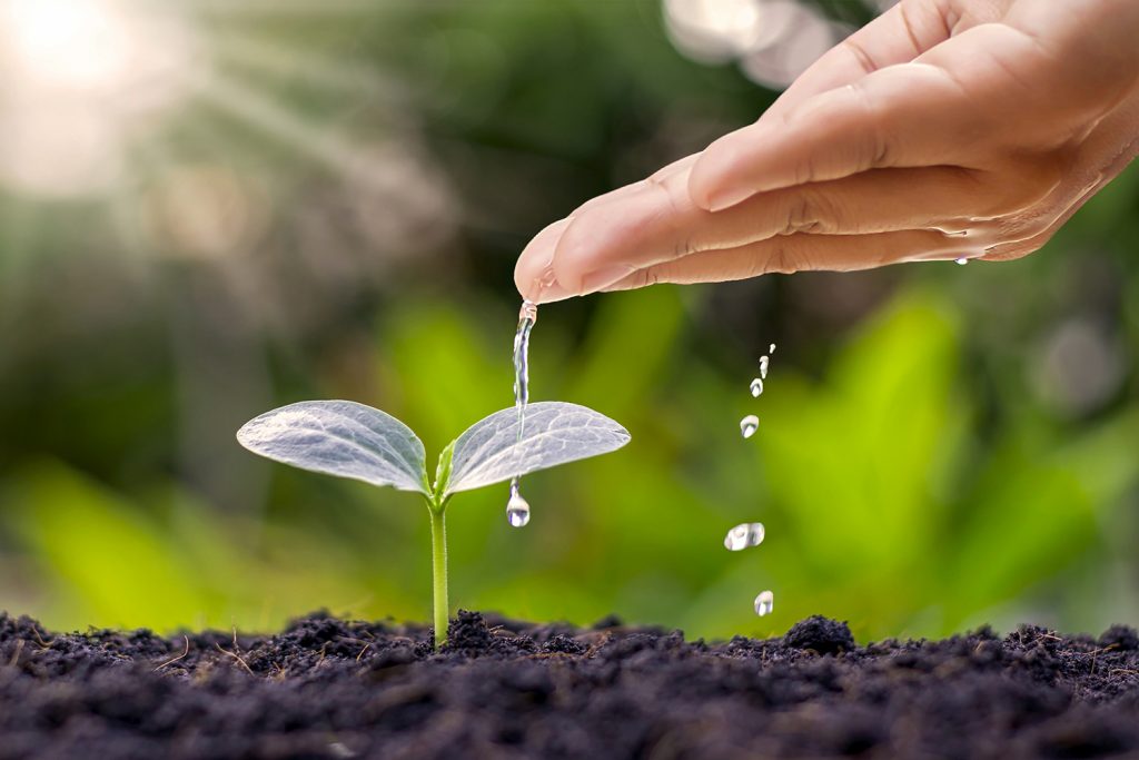 Environmental Consultancy - Title: Environment Consultancy